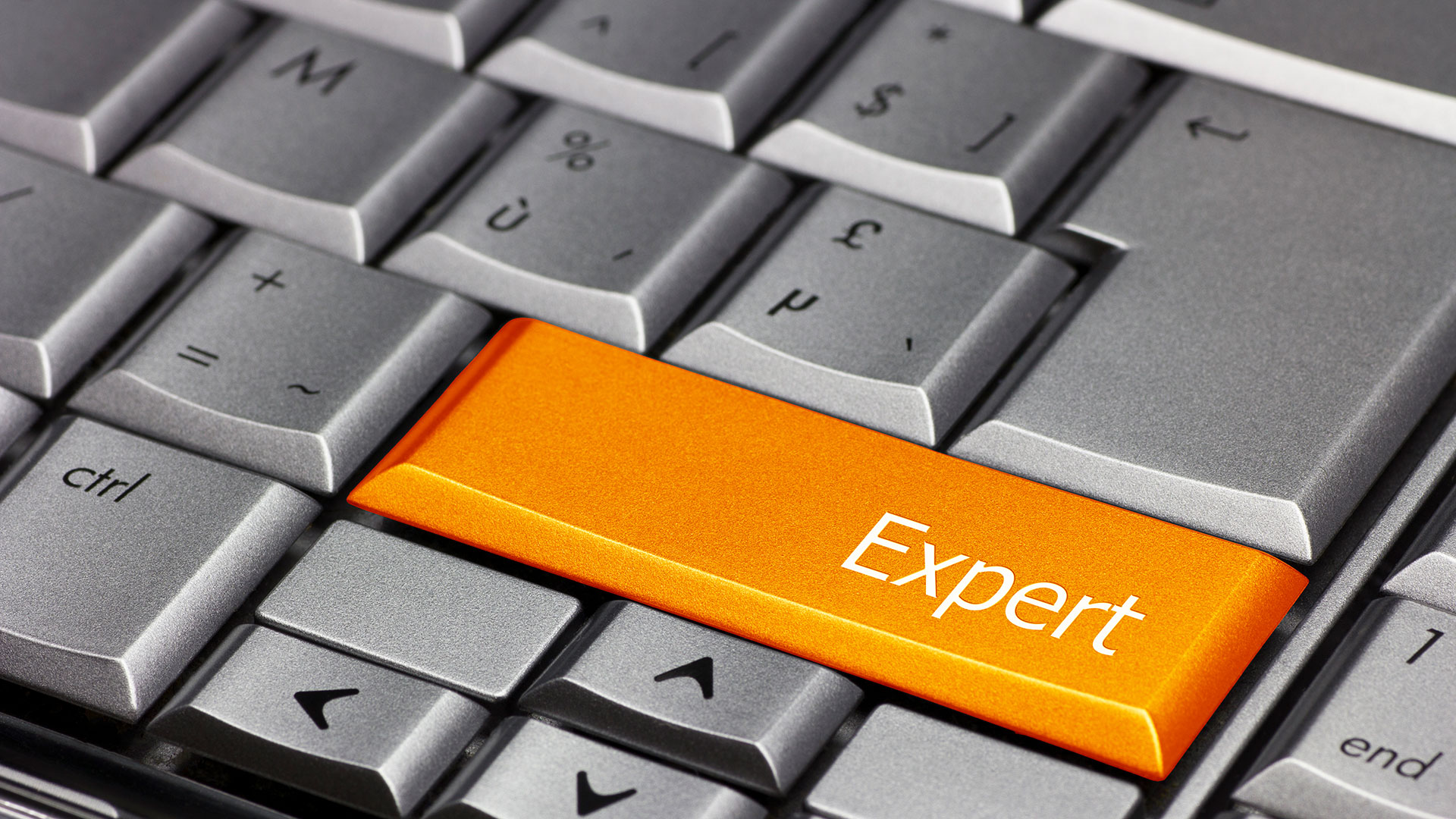 Våra tjänster | Polago AB